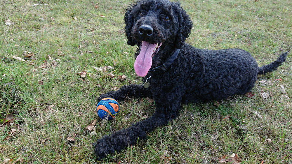 My Deaf Story: Claire Cooper-King - Signature